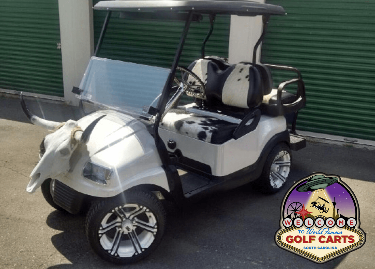 Golf Cart Photo Gallery - Gas-Powered & Electric Golf Carts Now Available